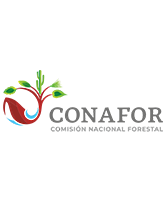 5-CONAFOR – Fundación Comunitaria Malinalco